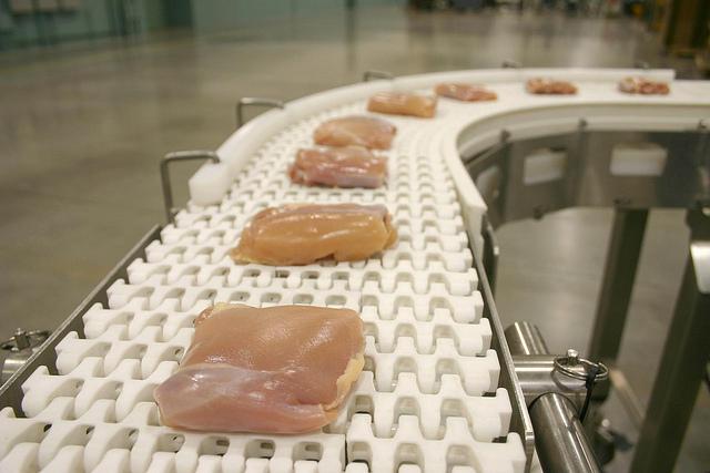 Innovations in Conveyor Belt Cleaning: Ensuring Food Safety in ...